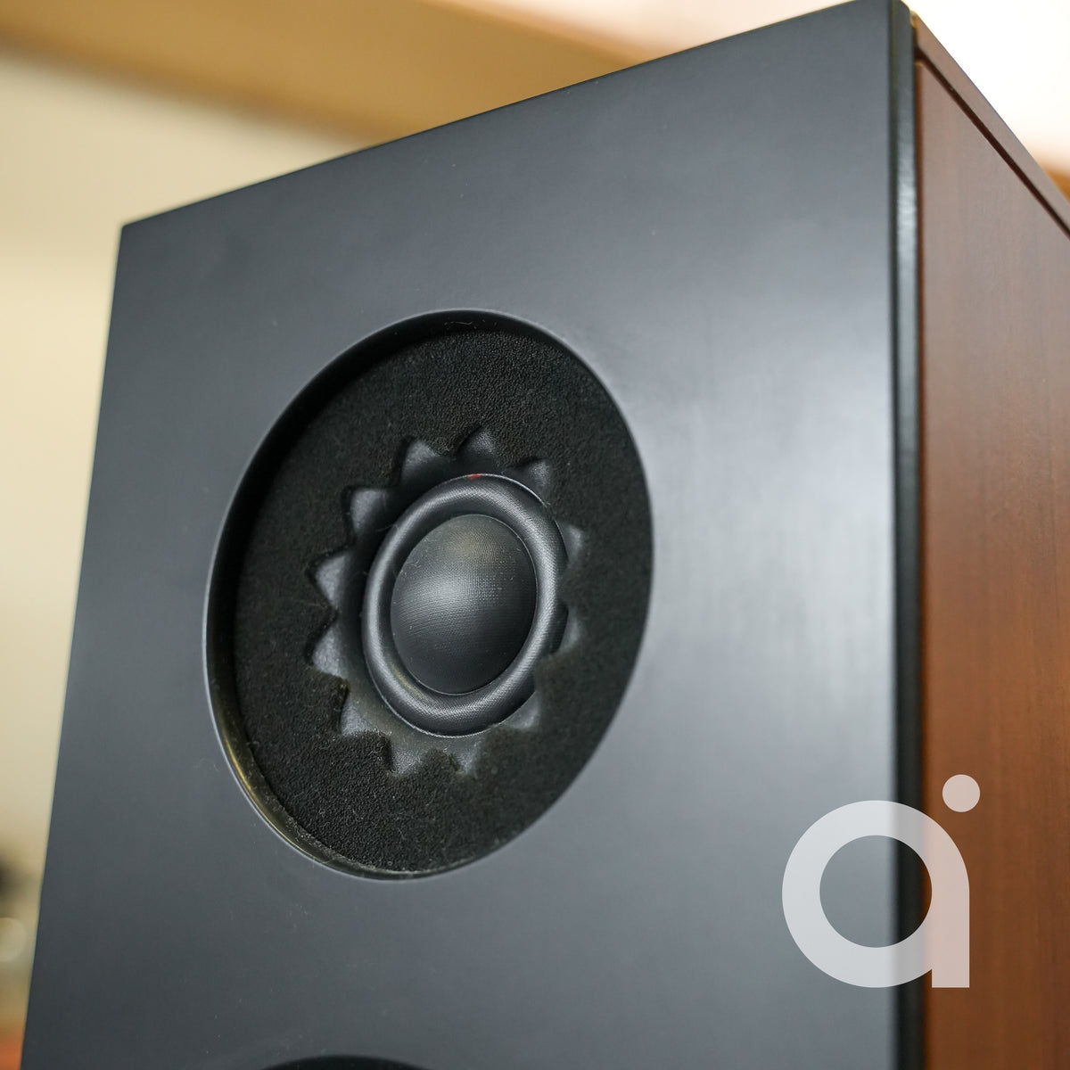 Audio Physics Classic 20 (Cherry Wood Finish)